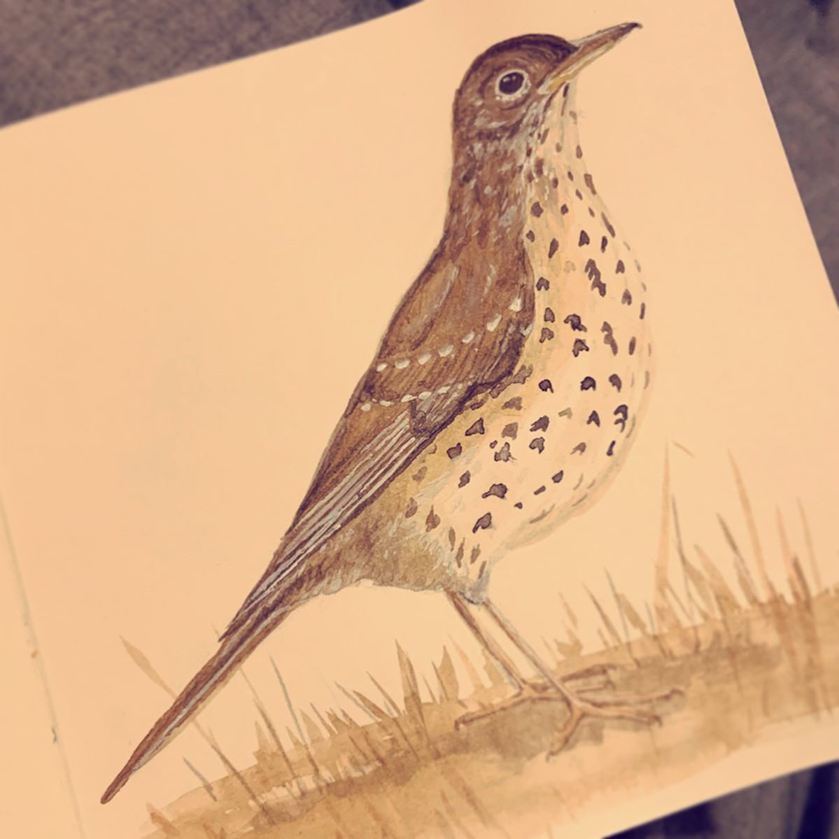 Twoucan - Maggot Queen (@maggotqueens)