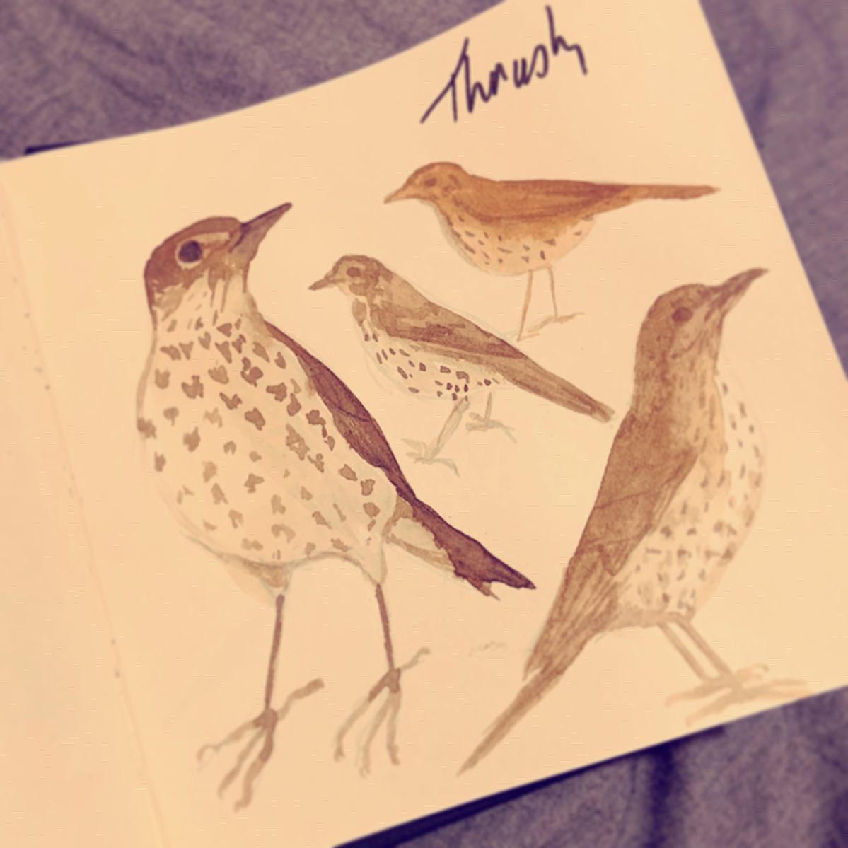 Twoucan - Maggot Queen (@maggotqueens)