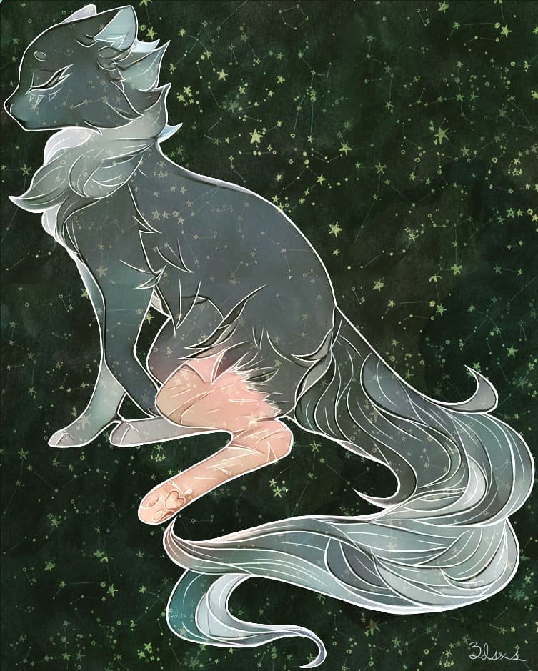 Warriors Cats Wallpaper Starclan