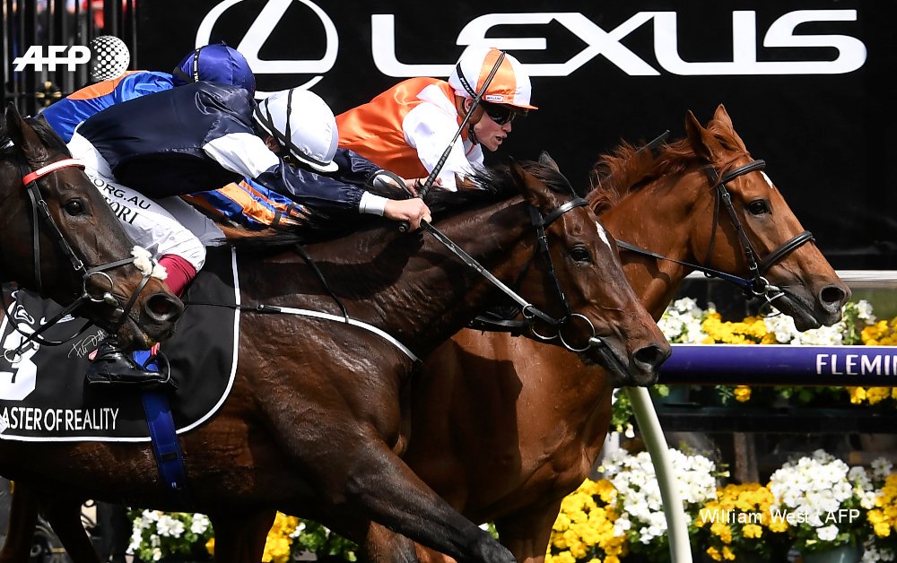 A Thread from @AFP: "AFP factfile on Australia's Melbourne Cup taking ...