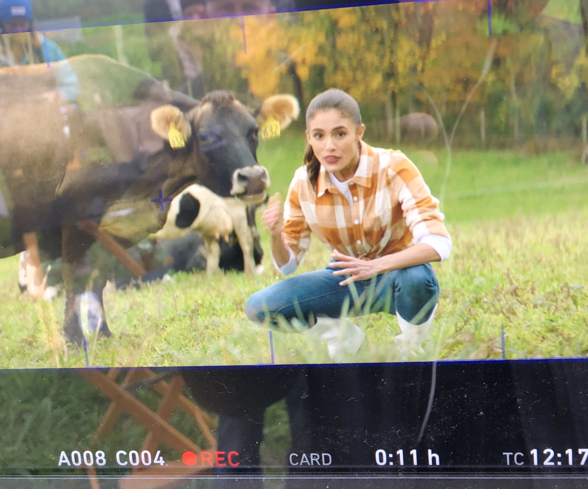 Happy Cows Commercials