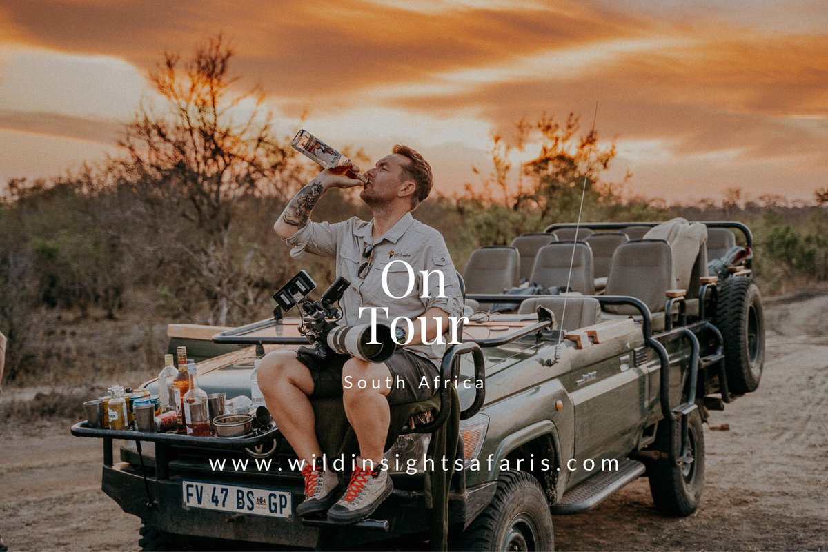 The Wild Insight Safari Company (@WildInsight) | Twitter