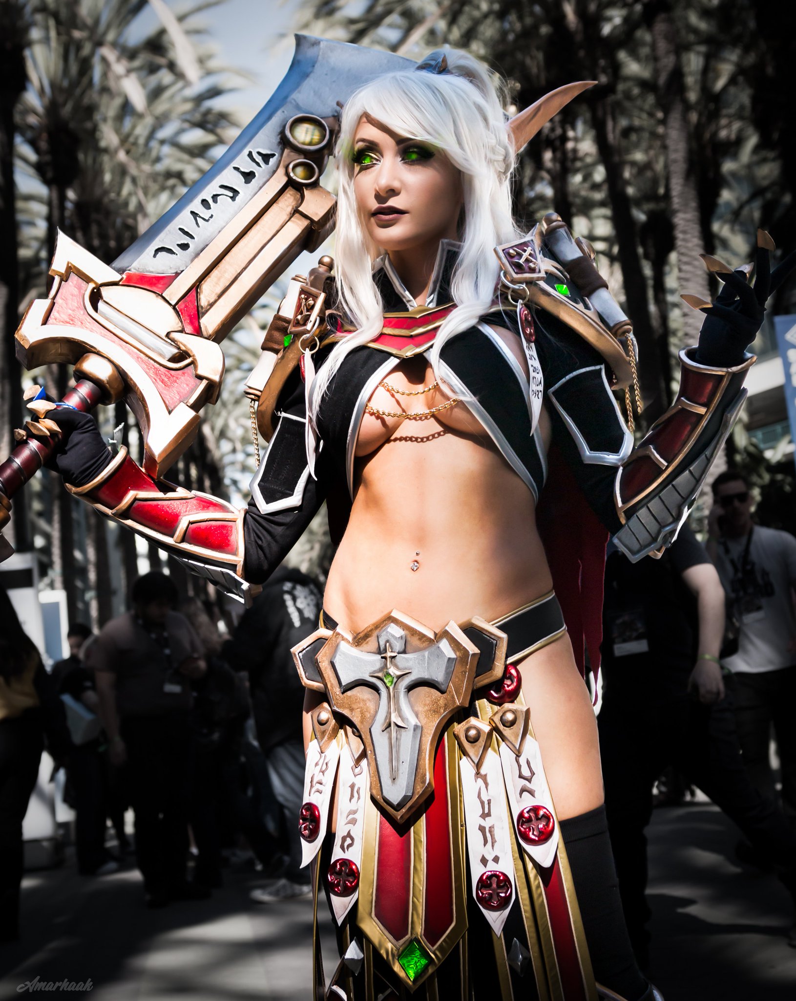 Blizzcon Cosplay Paladin