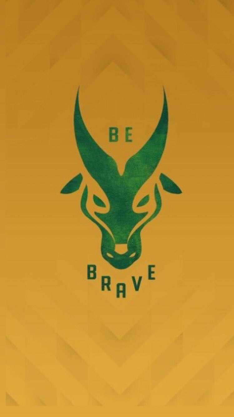 Tamaraw Icon