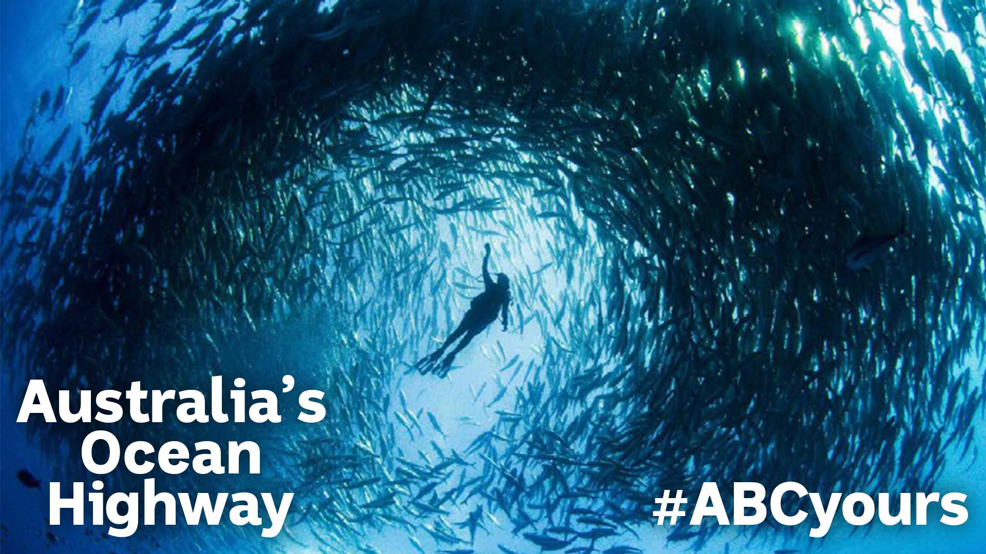 East Australian Current