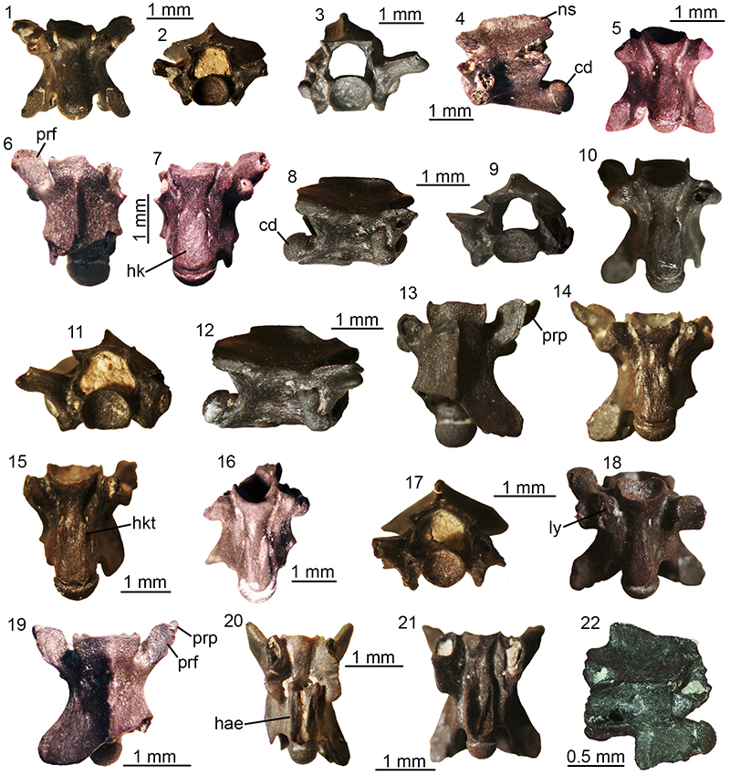 Dr. Georgios Georgalis (@DrGeorgalis) | Twitter