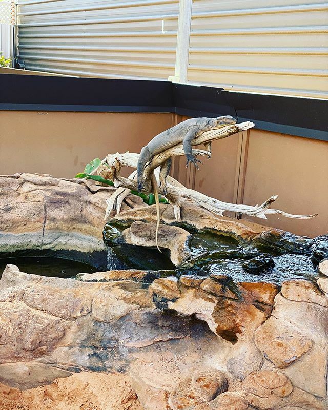Water Monitor Enclosure