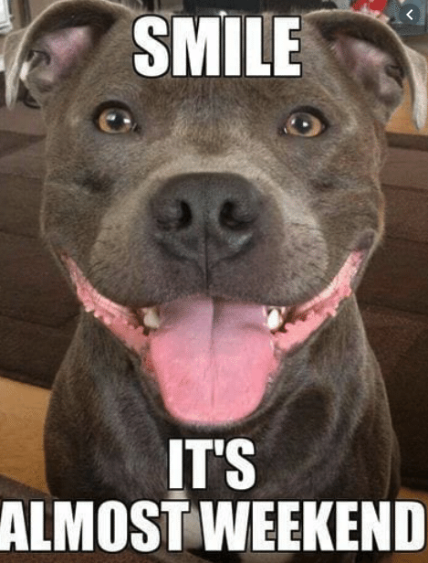 Almost Weekend Pictures