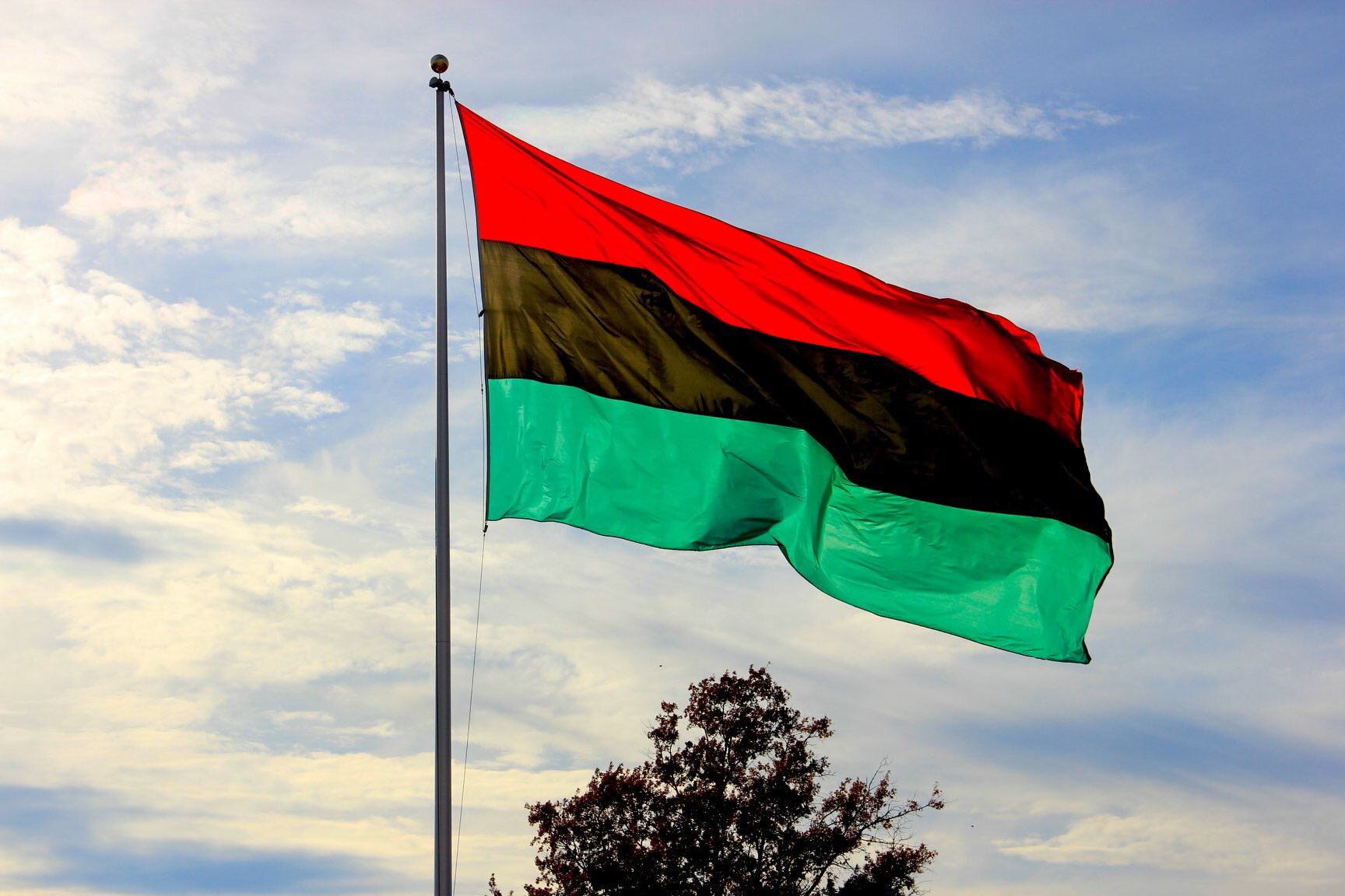Black Power Flag