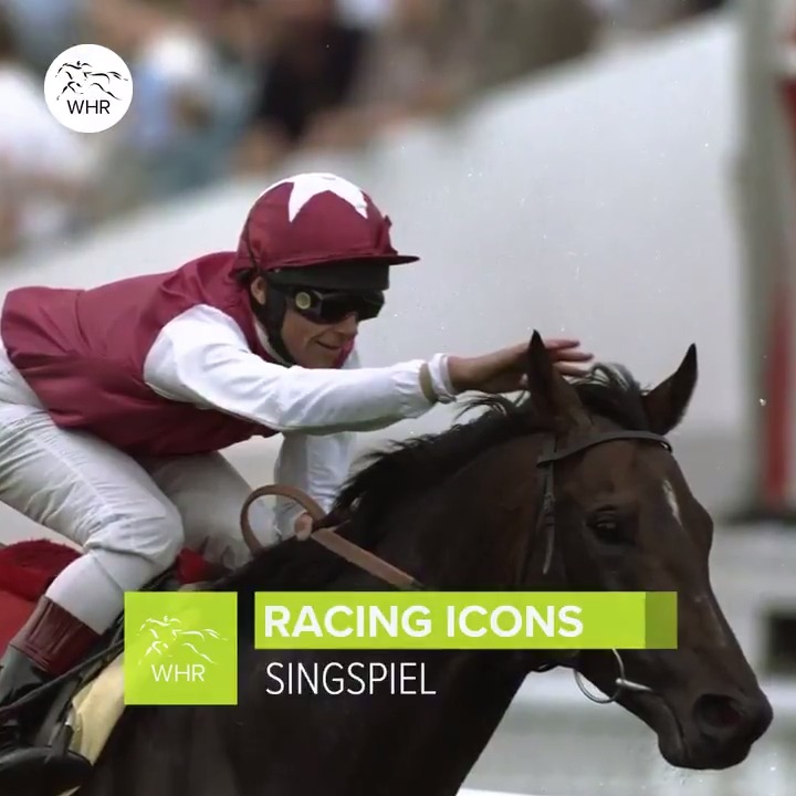 World Horse Racing on Twitter: World Horse Racing on Twitter: