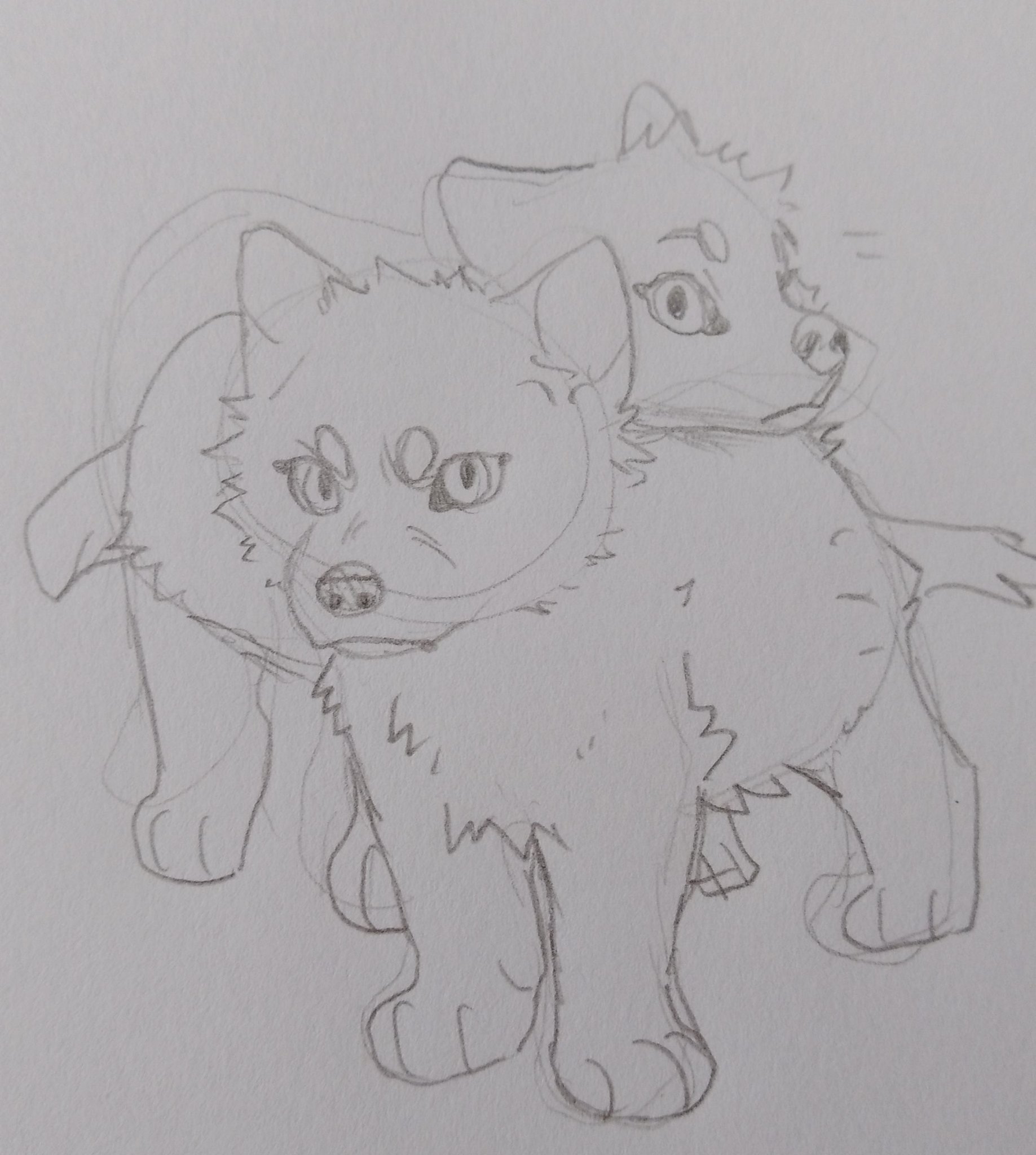 Cute Wolves In Love Drawings