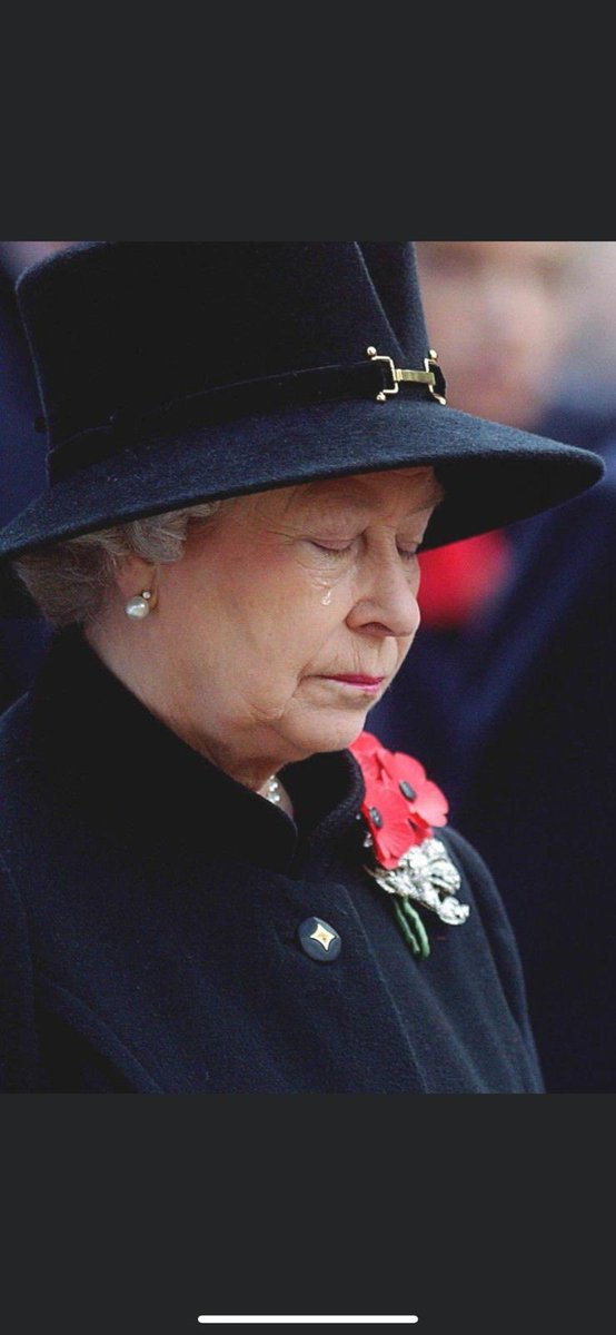 Emily Napper (@napper_emily) | Twitter