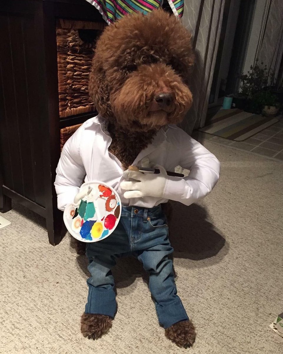 Doge Bob Ross The Best Of The Joy Of Painting With Bob Ross | Rocky