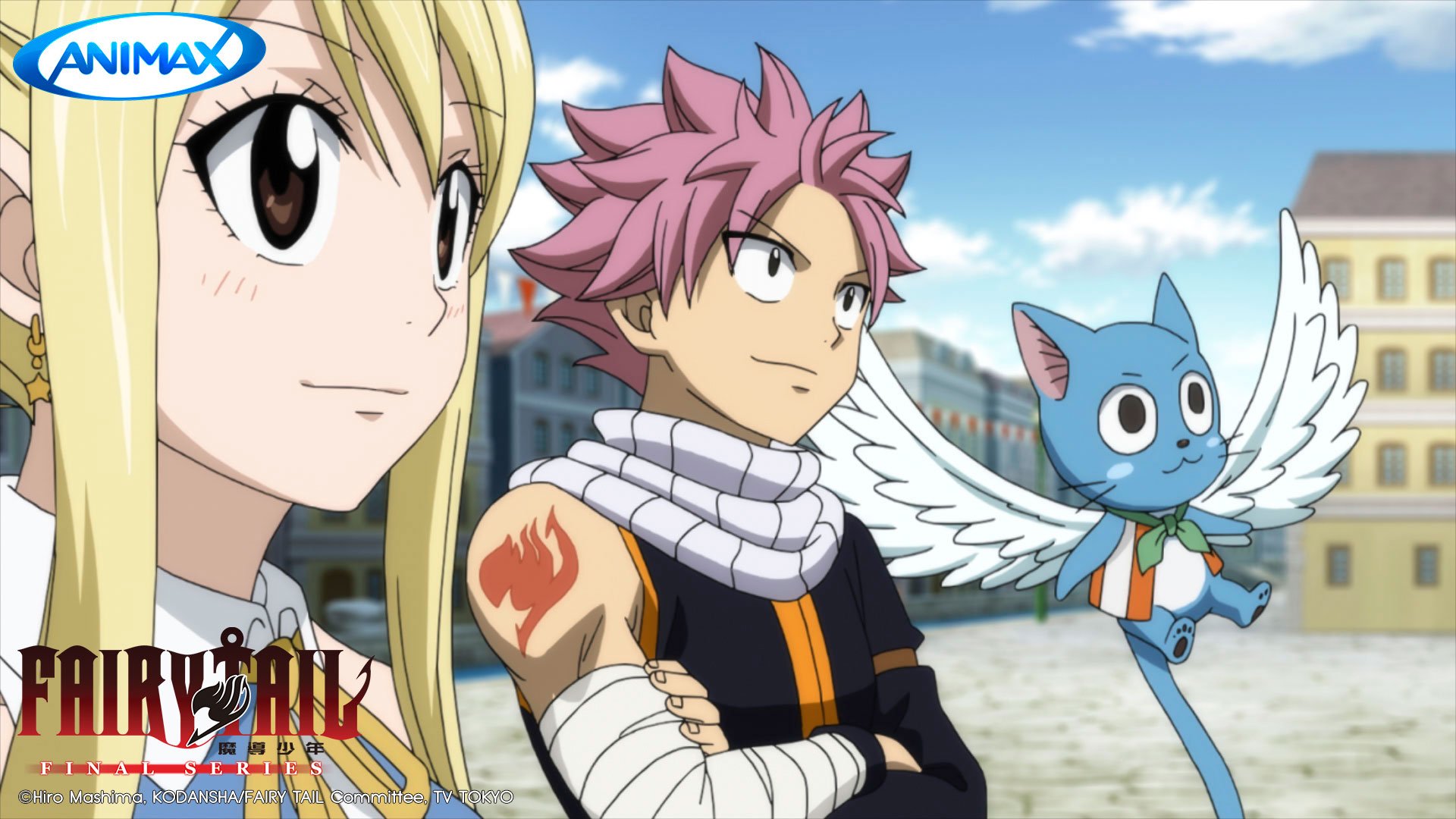 Animax Tv Fairy Tail