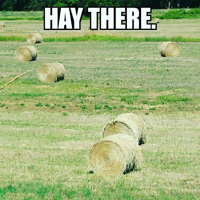 Hay Bale Memes