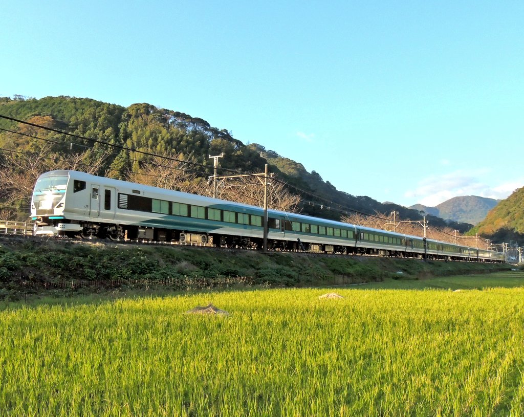 【E257系/E259系】JR東日本の直流特急車両1【E353系/E261系】