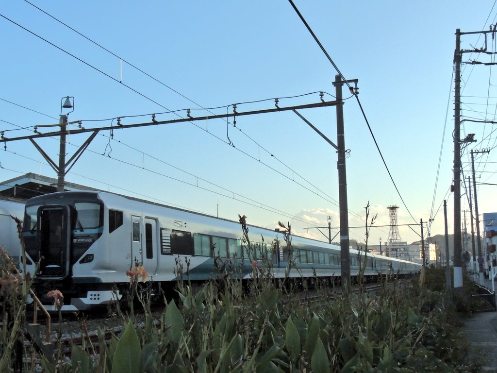 【E257系/E259系】JR東日本の直流特急車両1【E353系/E261系】