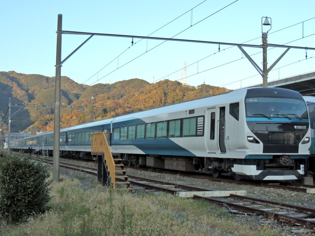 【E257系/E259系】JR東日本の直流特急車両1【E353系/E261系】