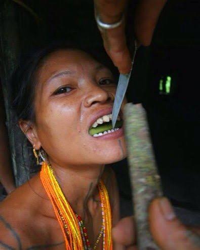 Mentawai Teeth Sharpening