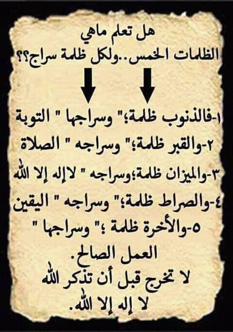 Narmin Narmin (@NarminNarmin4) | Twitter