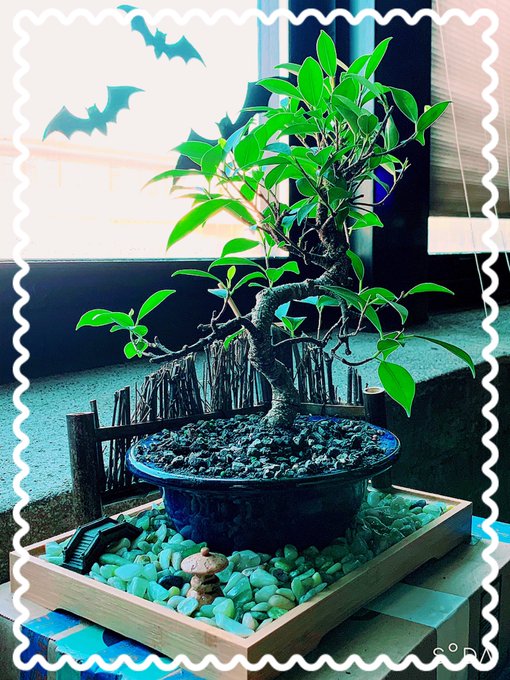 TW Pornstars - Mars Mayhem 5K. The most liked pictures and videos from ...