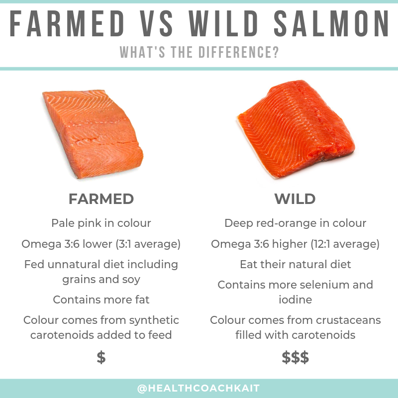 Wild Salmon Vs Farmed Salmon