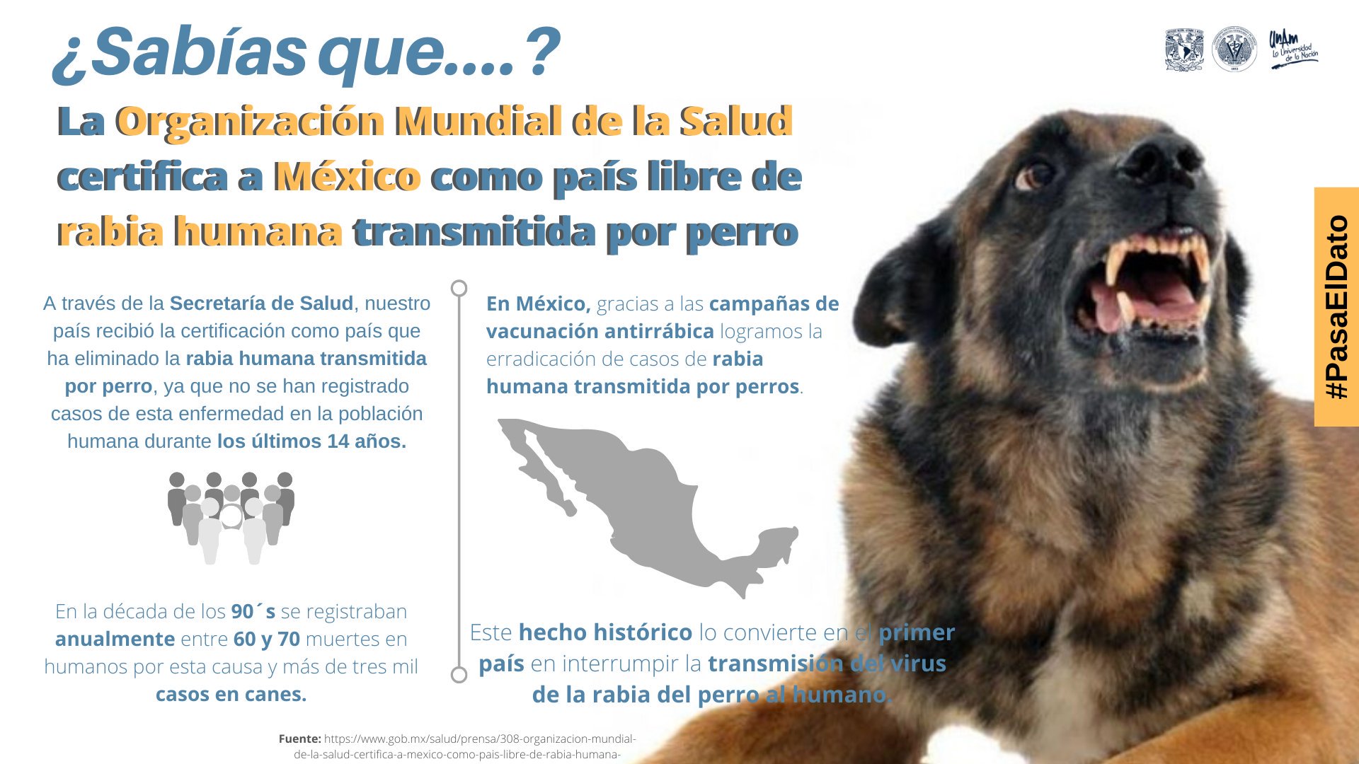 Virus De La Rabia En Perros