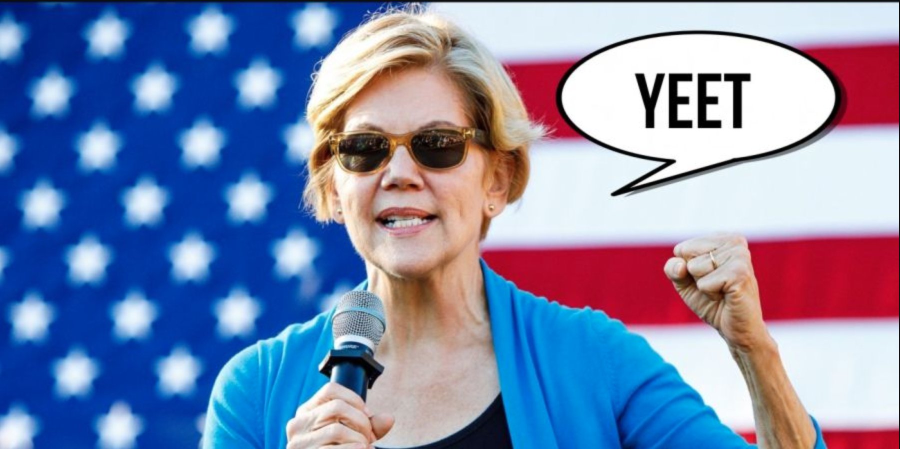 Liz Warren Memes