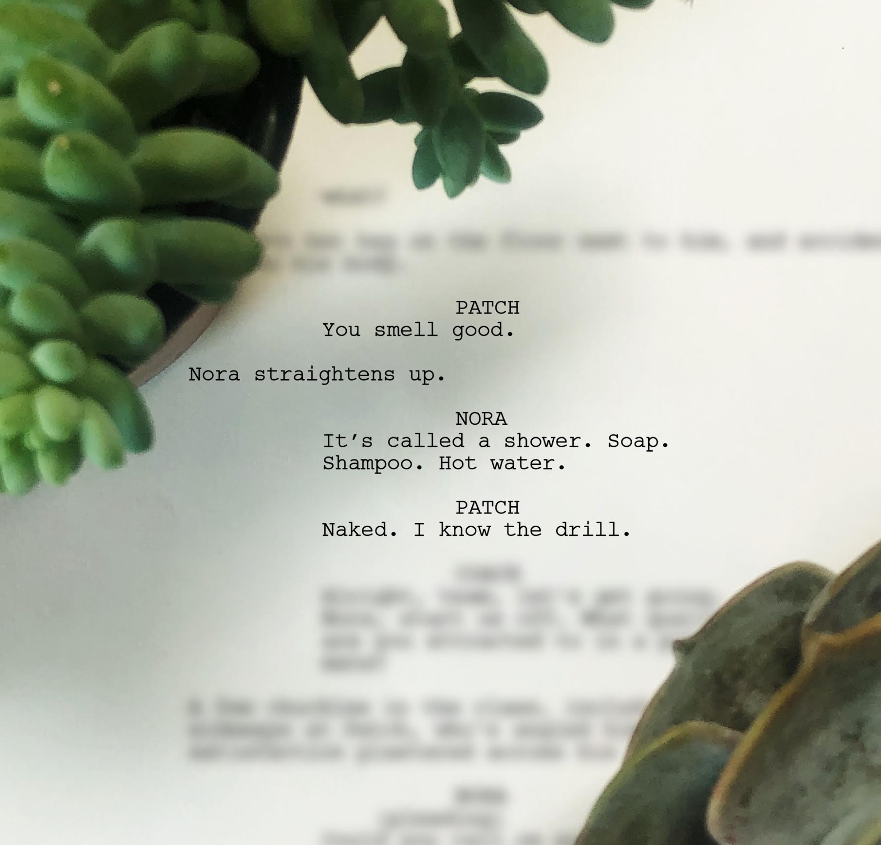 Hush Hush Series Patch Quotes