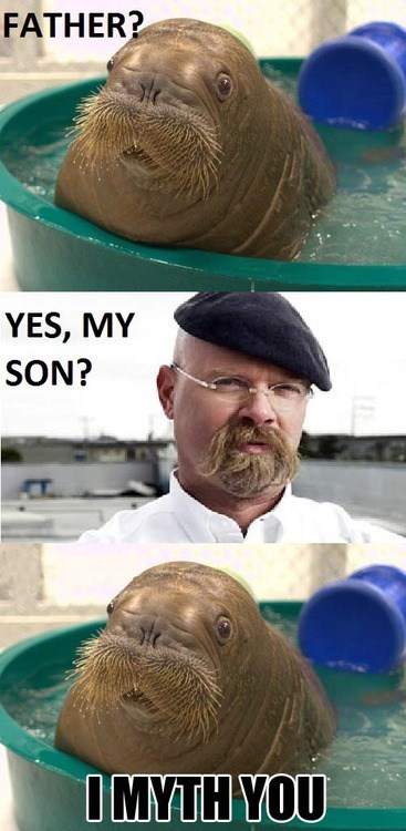 Mythbusters Walrus