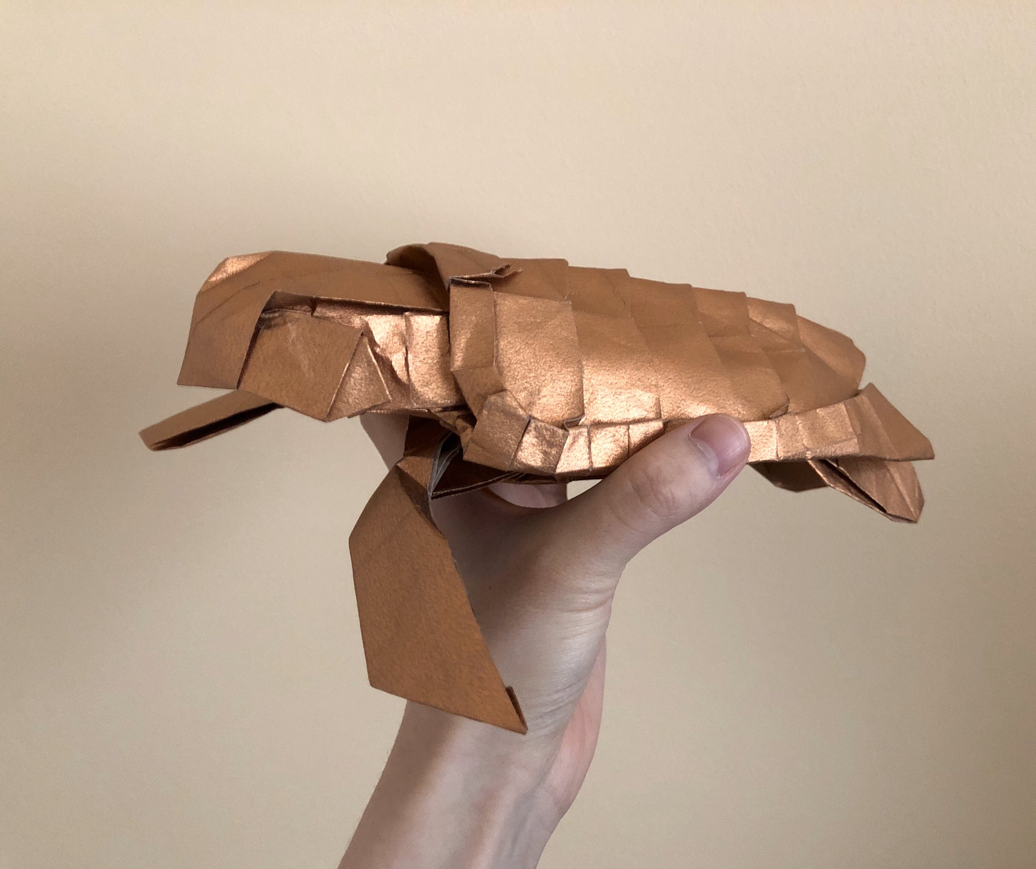 Origami Loggerhead Sea Turtle Tutorial