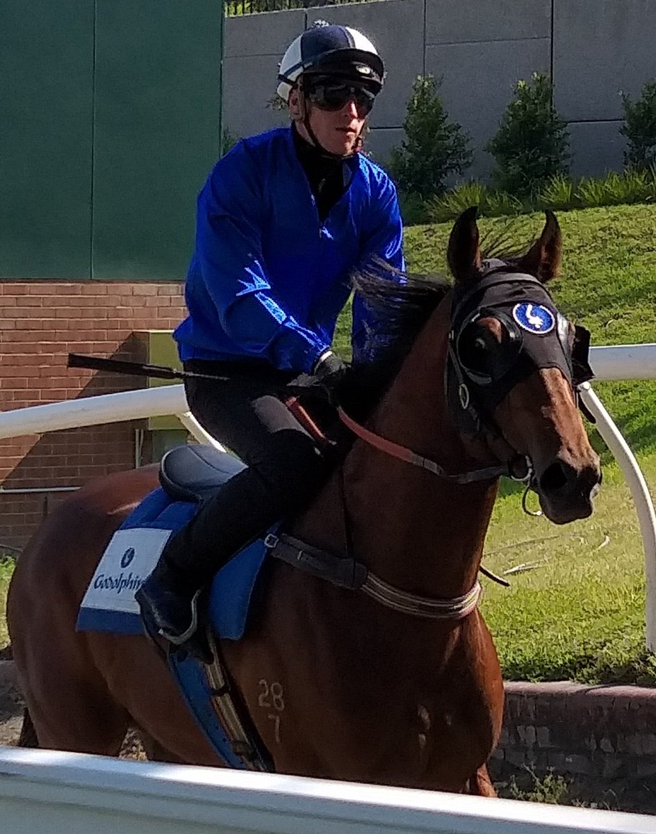 Thoroughbred Racing | The Thoroughbred, The People, The Passion