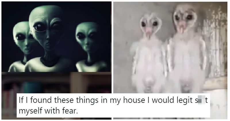 Alien Owl Memes