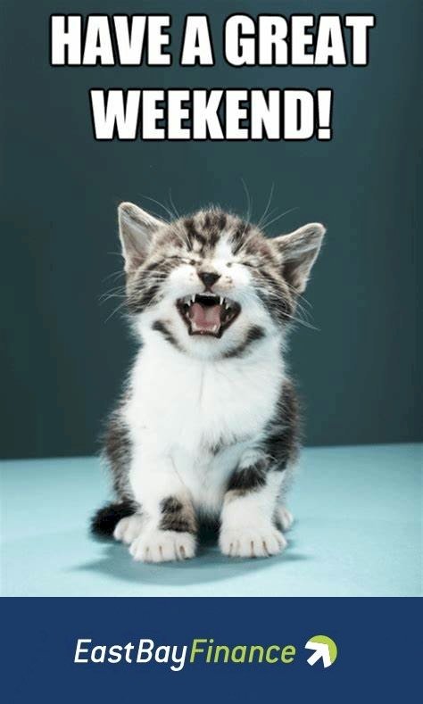 Have A Good Weekend Cat