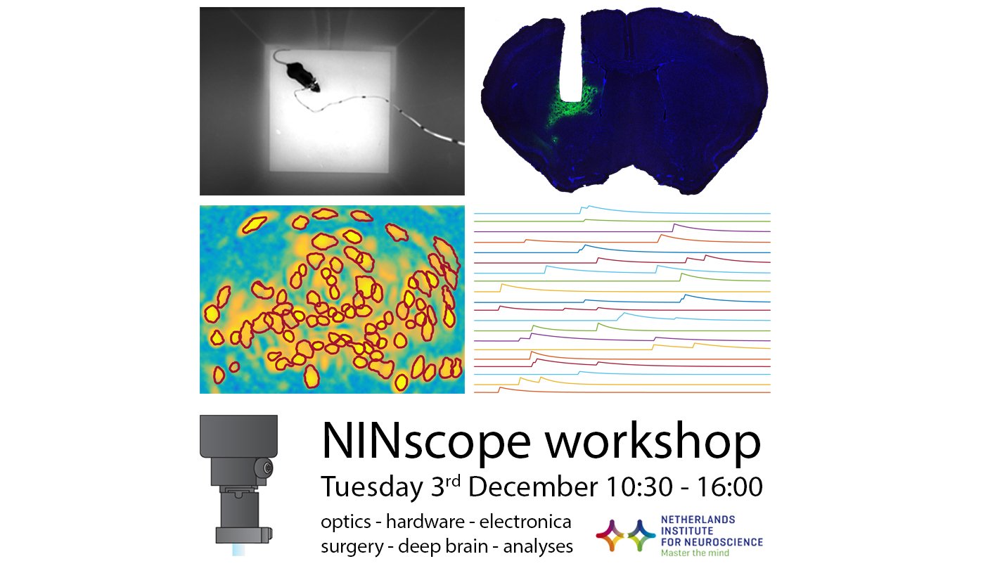 Bastijn van den Boom on Twitter: "Do you want to apply the @NINScope in your research? Want to ...