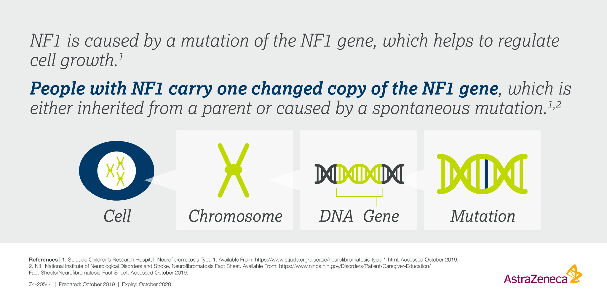 Neurofibromatosis Type 1 Gene