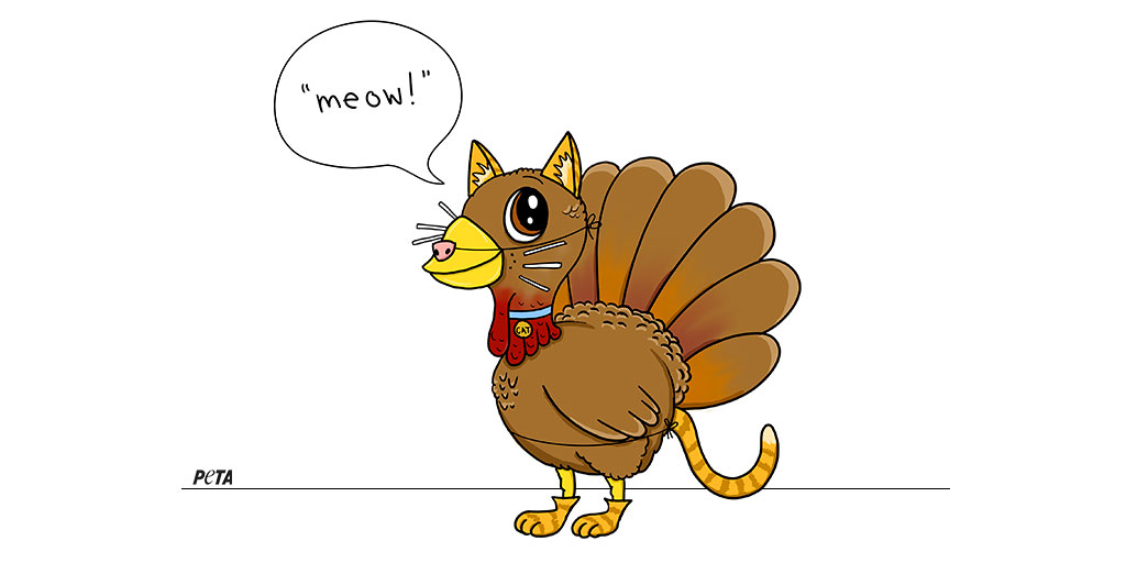 Dont Eat Turkey Clipart