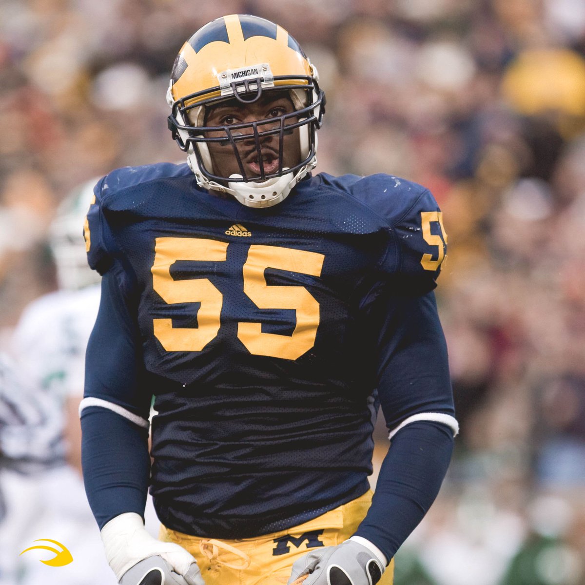 The Latest Brandon Graham News | SportSpyder