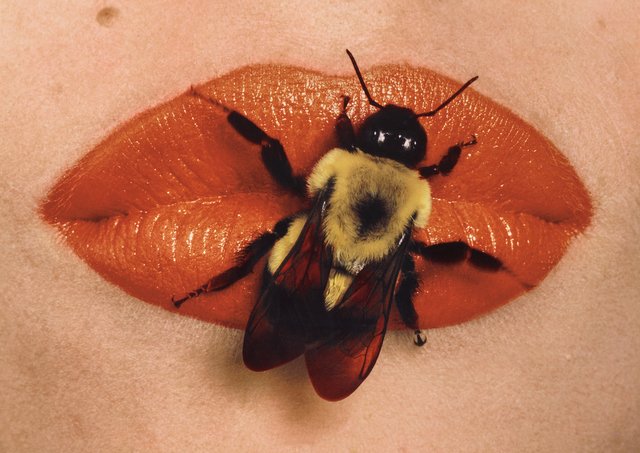 Lana Del Rey Bee On Lip