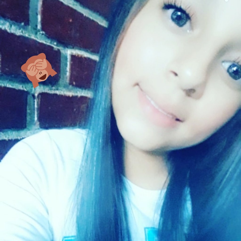 Andrea Turcios's Instagram, Twitter & Facebook on IDCrawl