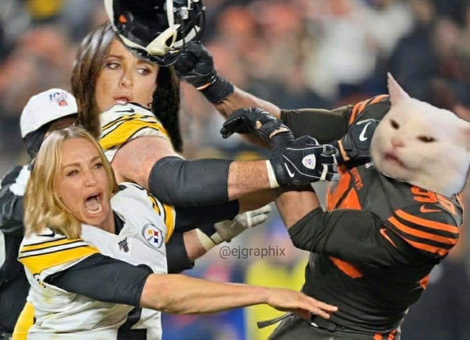 Steelers Browns Meme