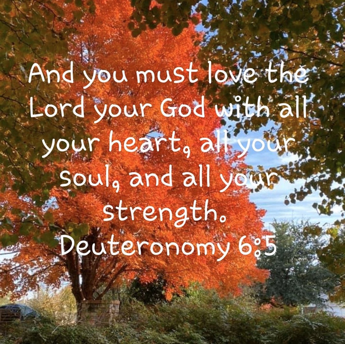 Fall Sunday Blessings
