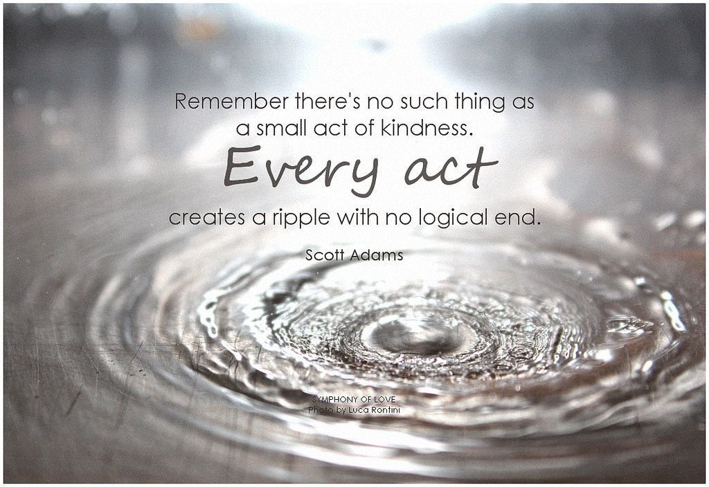 Ripple Effect Quotes