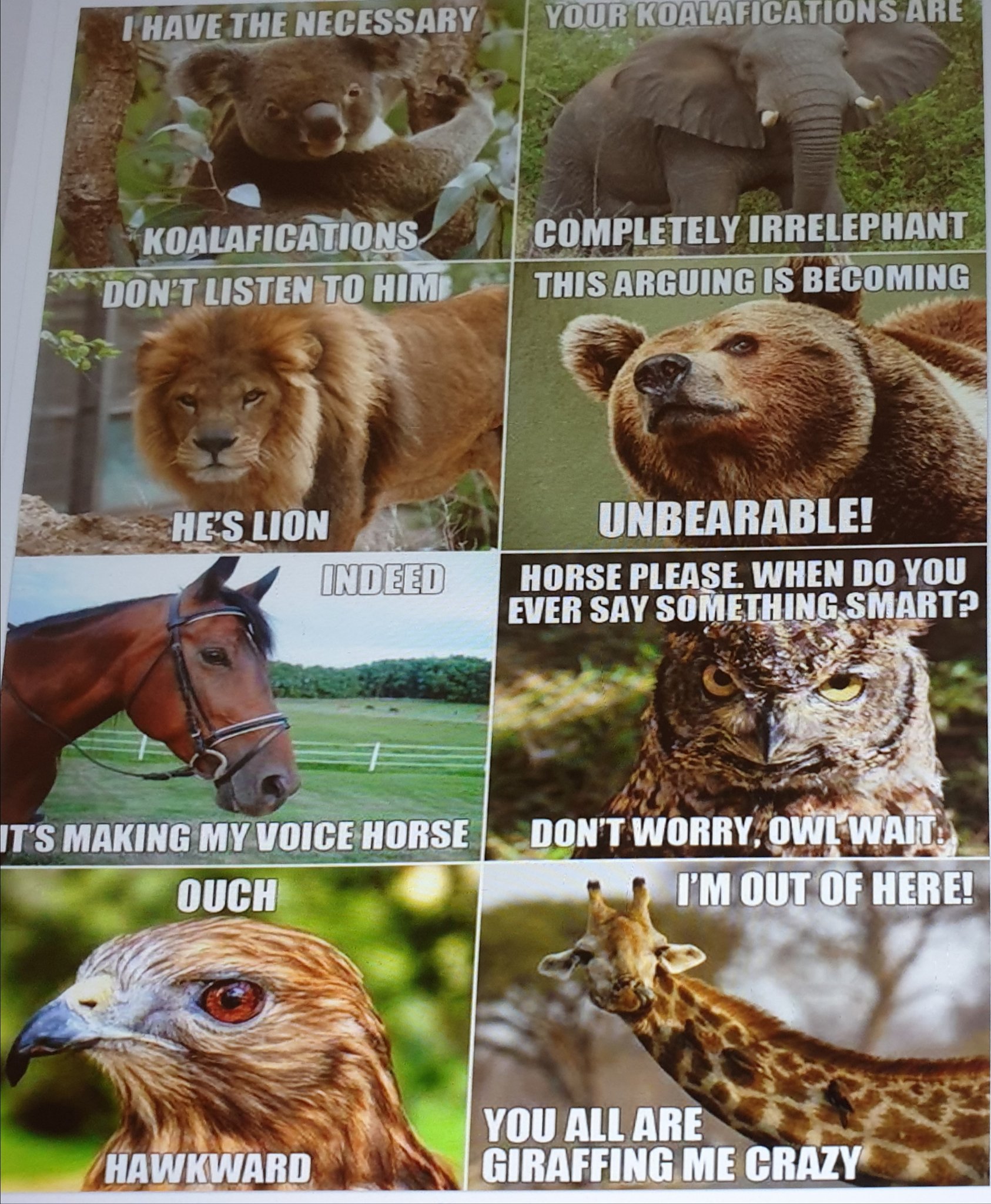 Hawkward Irrelephant