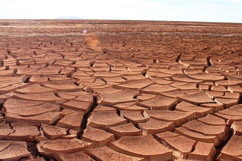 Texture Gradient Monocular Cues