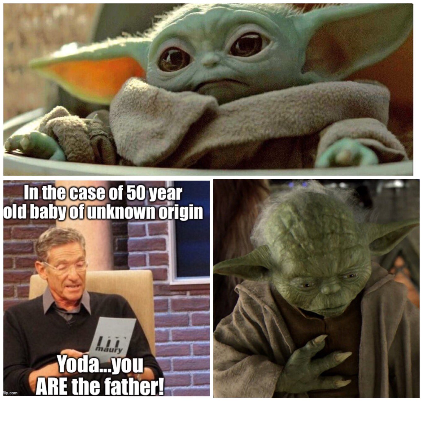 Maury Meme You Are The Father