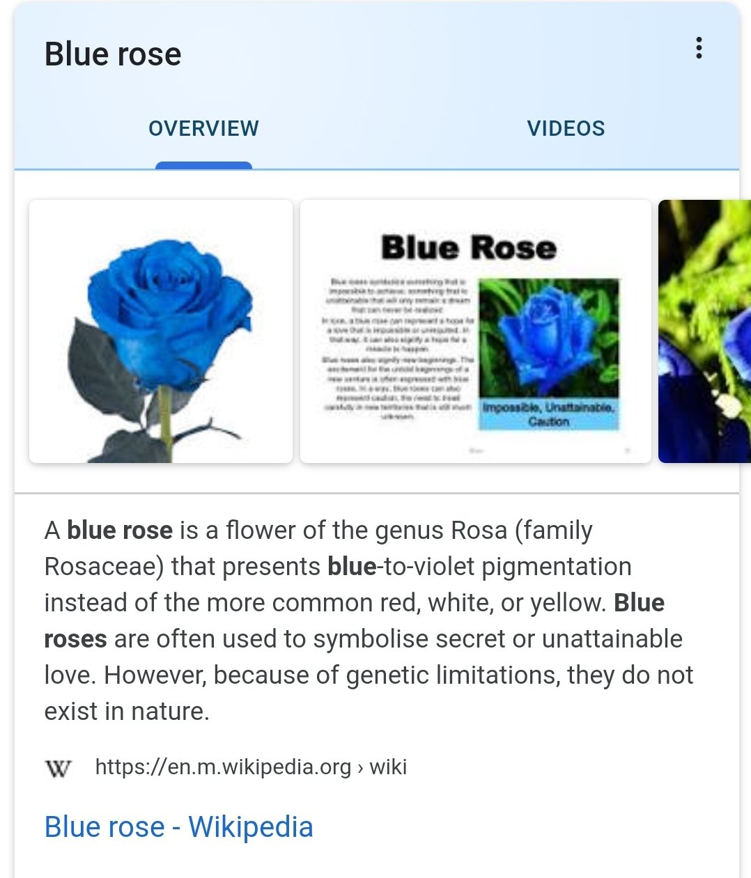 Blue Rose Meaning Blue Roses: Symbolism Of Rarity And How They're Made