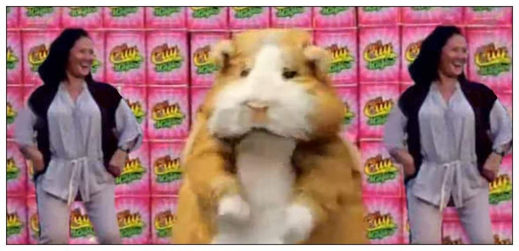 El Cuy Magico Memes 🍽 Gracias Por Elegir Casa De Los Cristales En