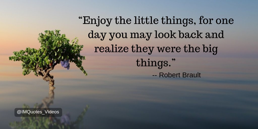 Enjoy Small Things Quotes