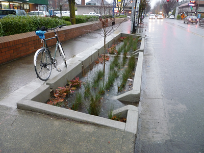 Urban Rain Gardens